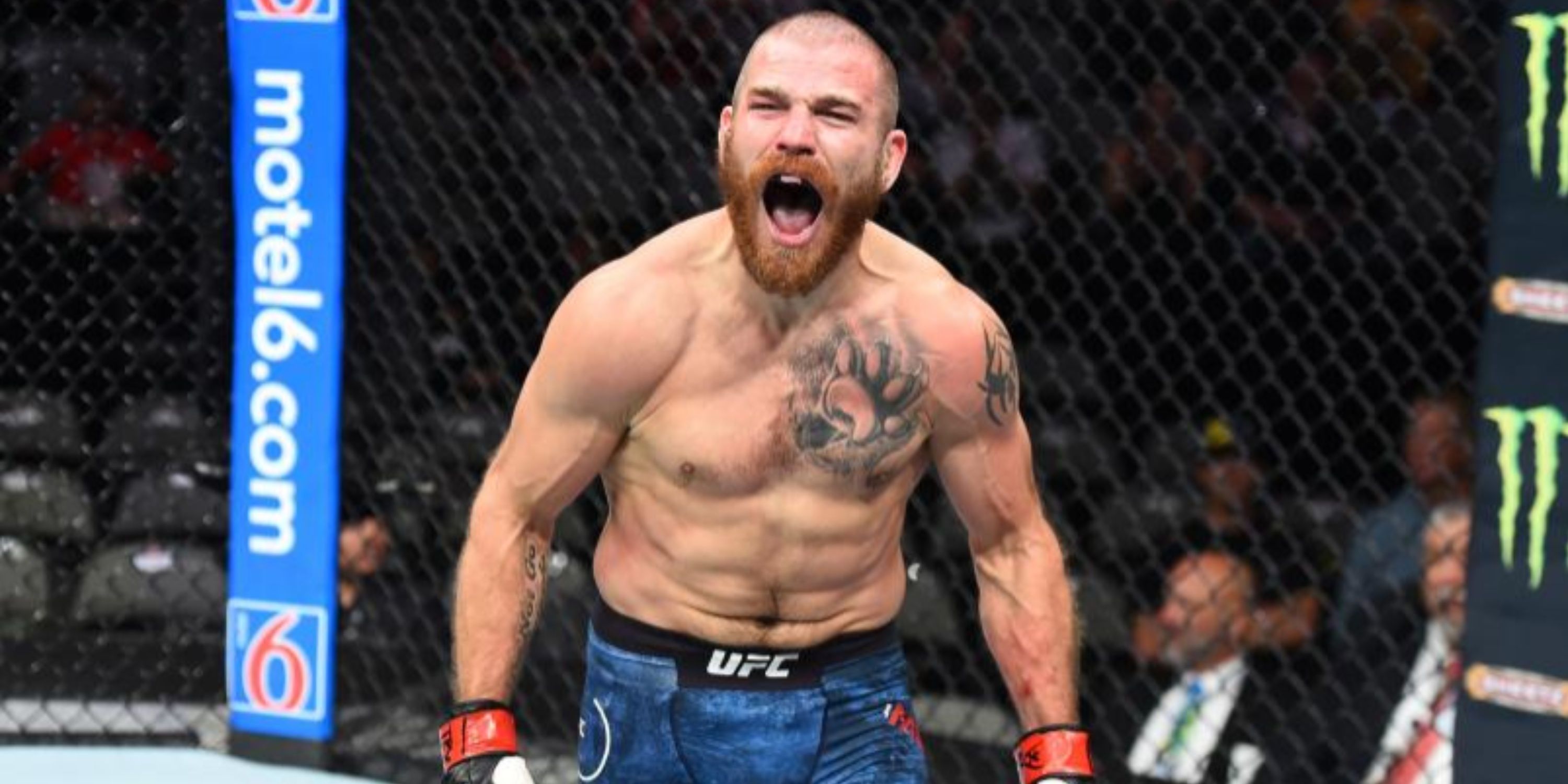 10 Greatest Submission Artists in UFC History [Ranked]