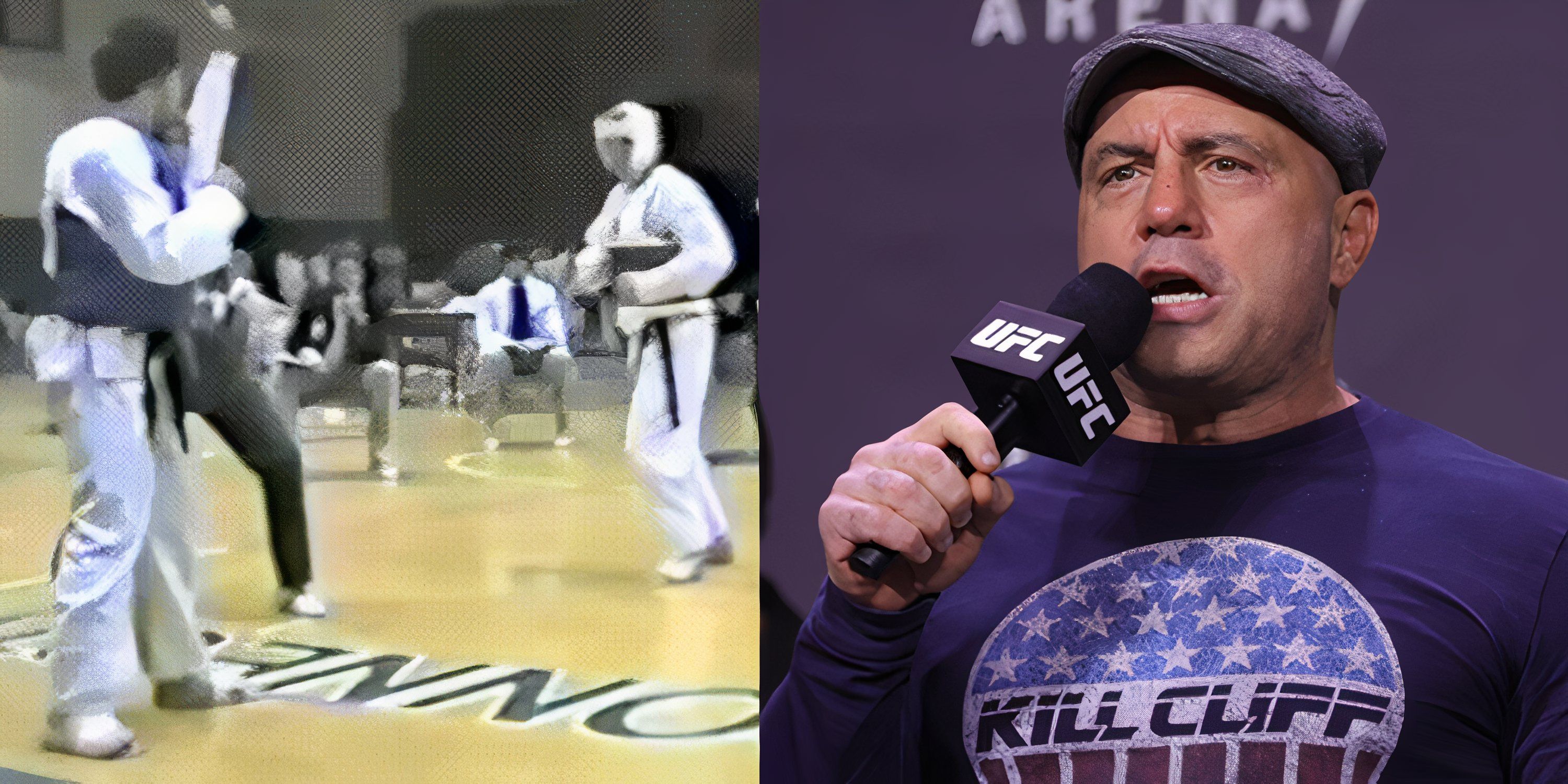 Dana White Recalls How he Met Joe Rogan, And Talked Him Into Joining UFC