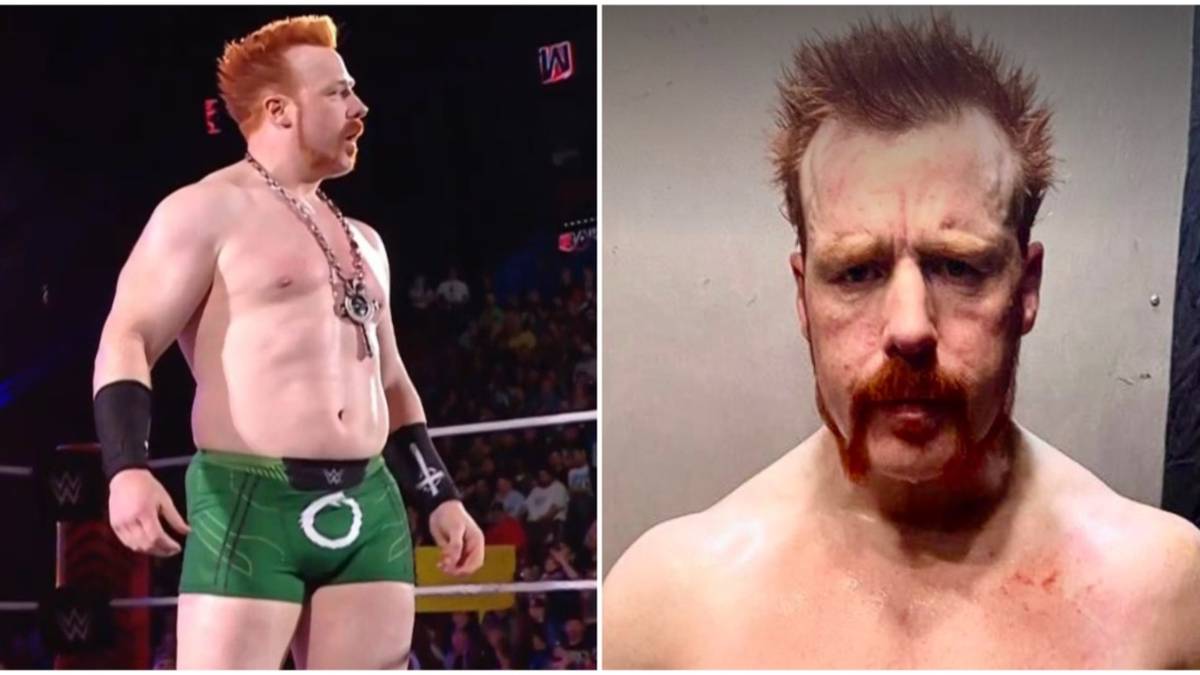 Sheamus' Five-Month Body Transformation After WWE Return