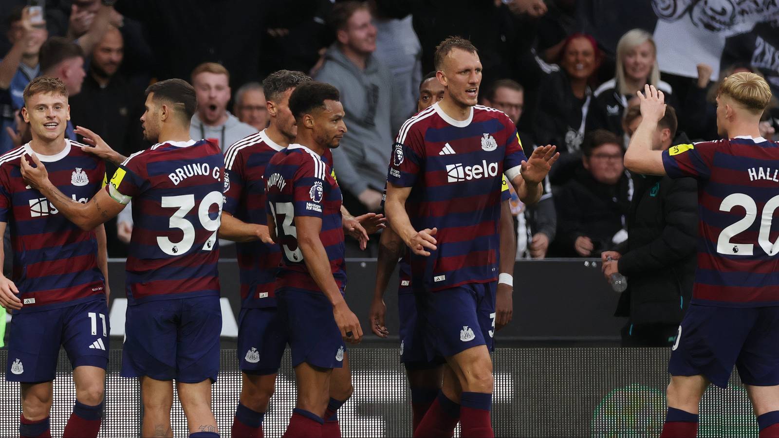 Wolves 1-2 Newcastle: Player Ratings and Match Highlights