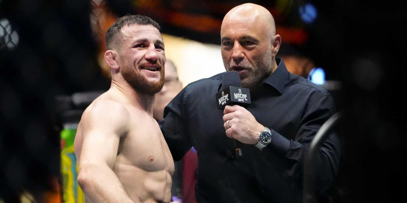 UFC Weight Classes: What Are They in Order KG and Lbs?