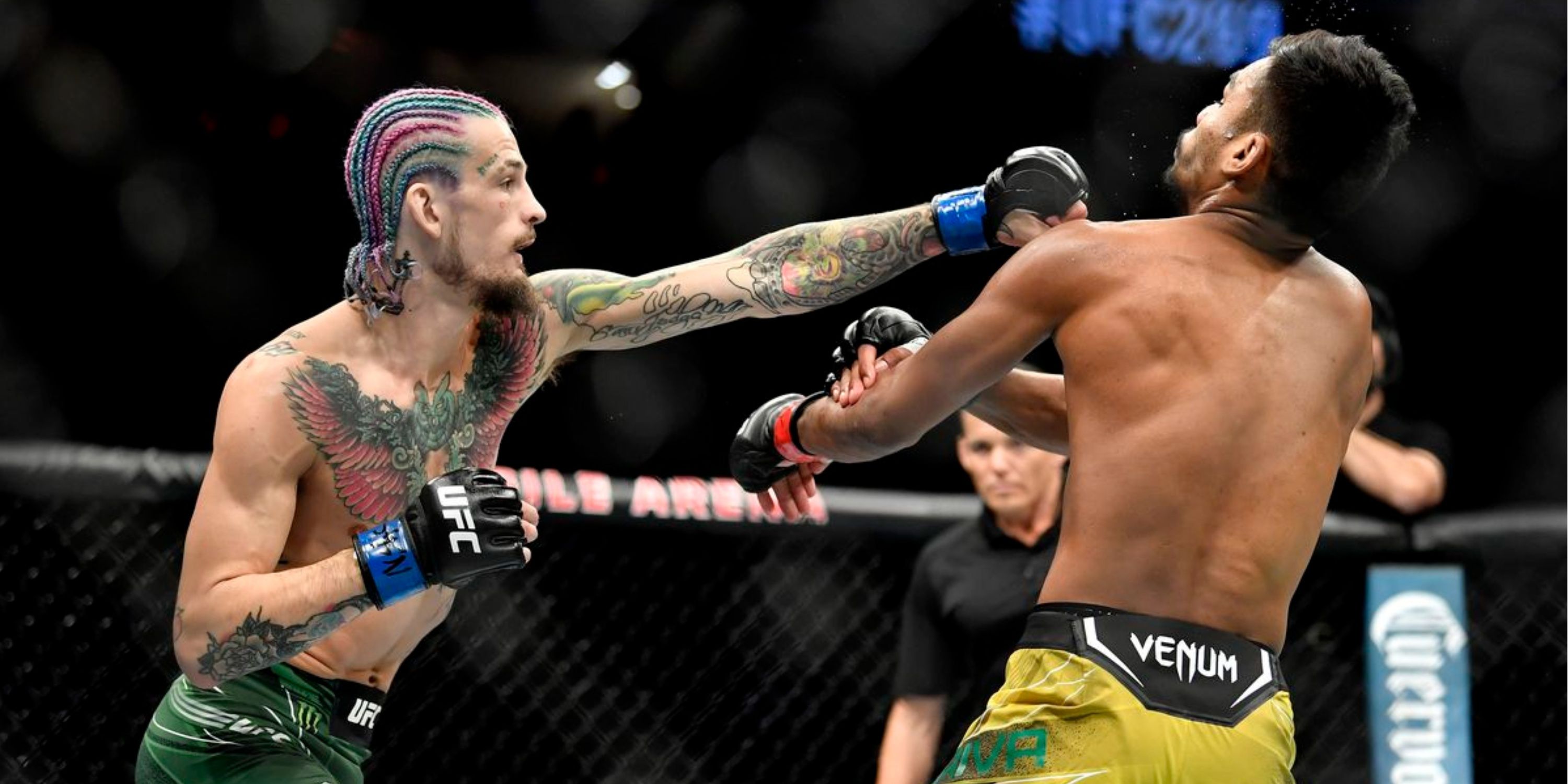Sean O'Malley's Top 5 UFC Wins [Ranked]