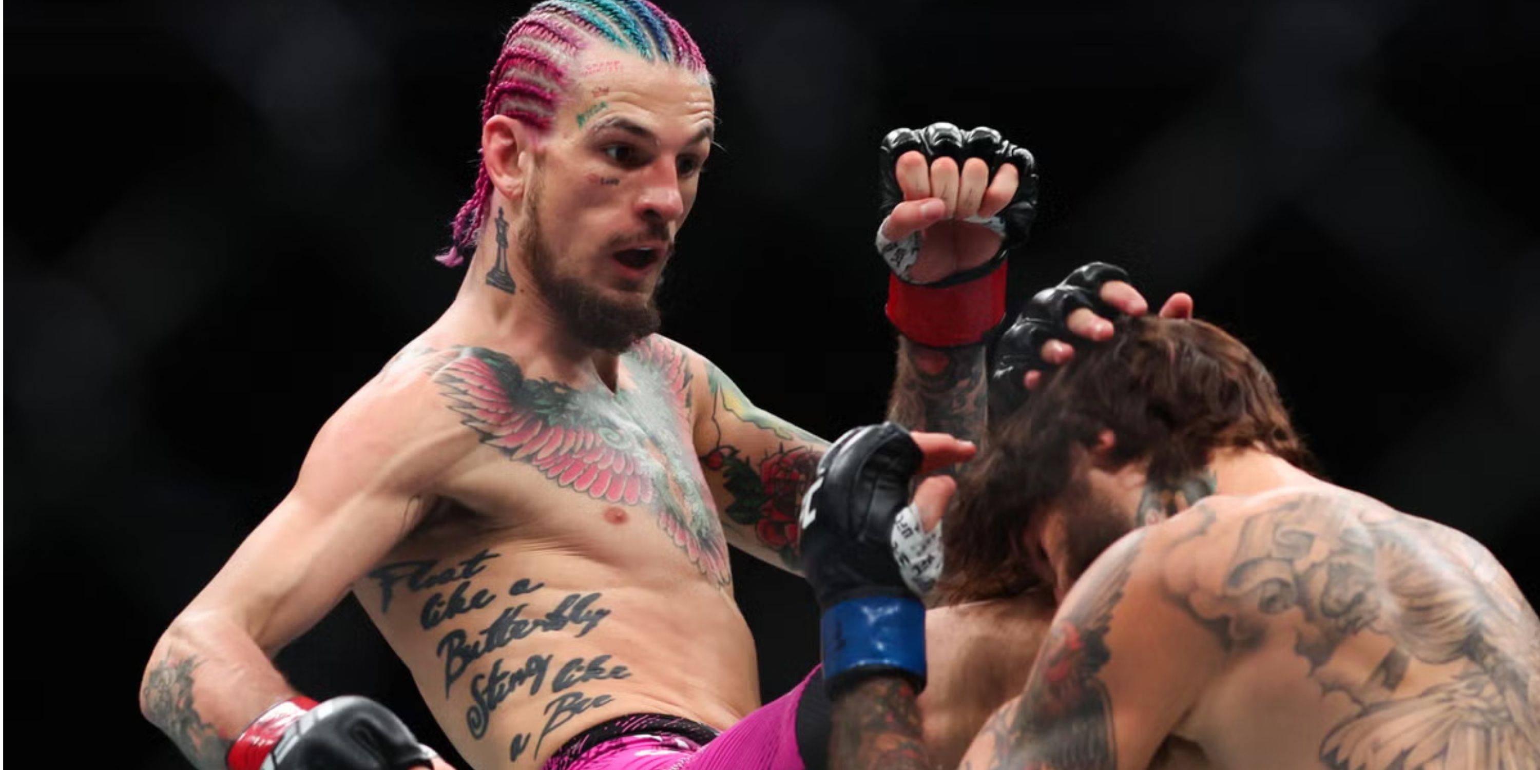 Sean O'Malley's Top 5 UFC Wins [Ranked]