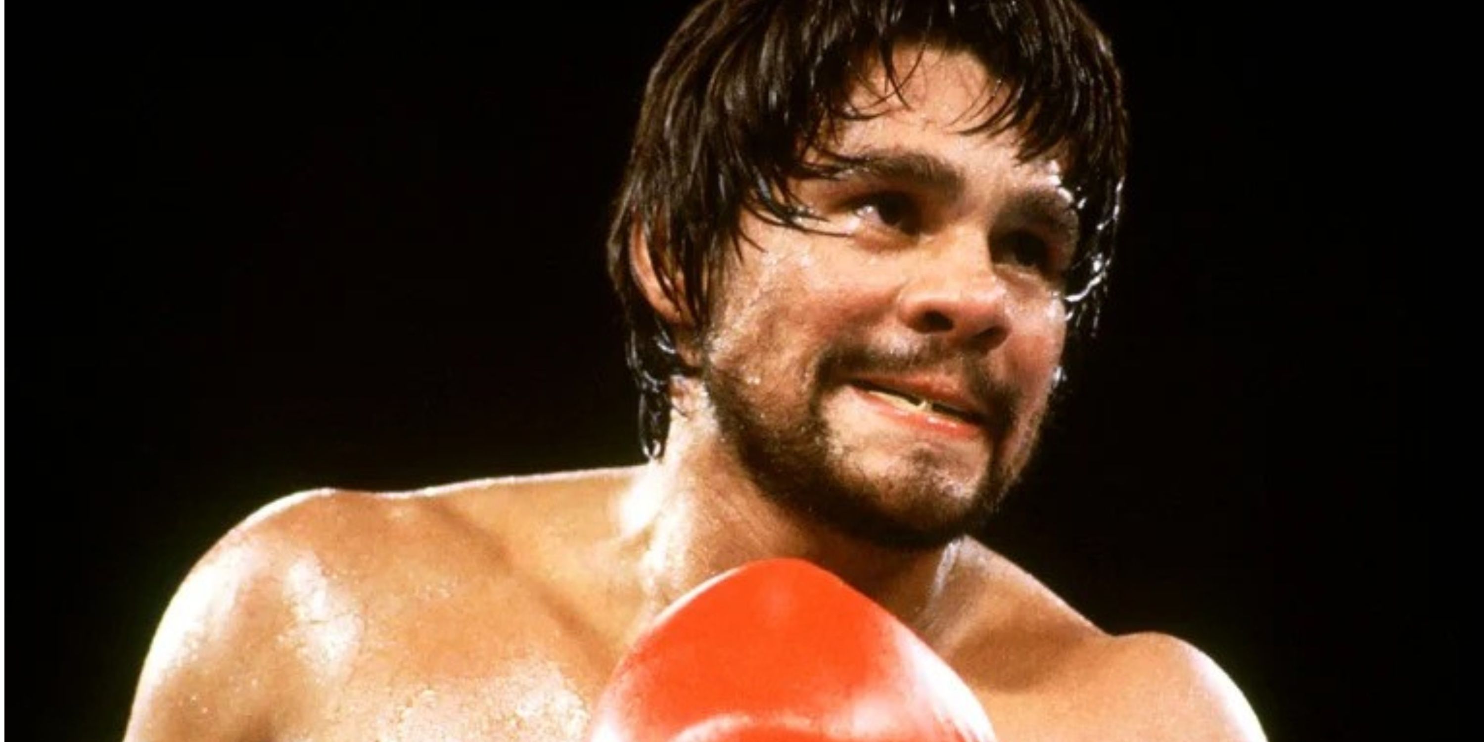 10 Greatest Pound-For-Pound Boxers in History [Ranked]