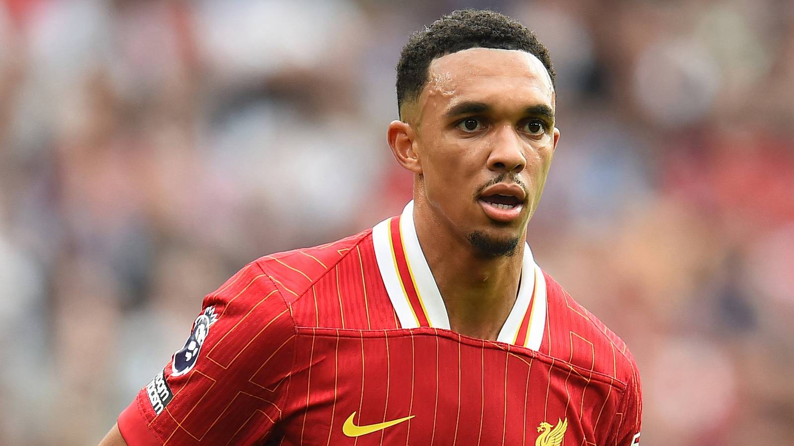 Fantasy Premier League: Best Tips for Gameweek 16 and Mystery Chip ...