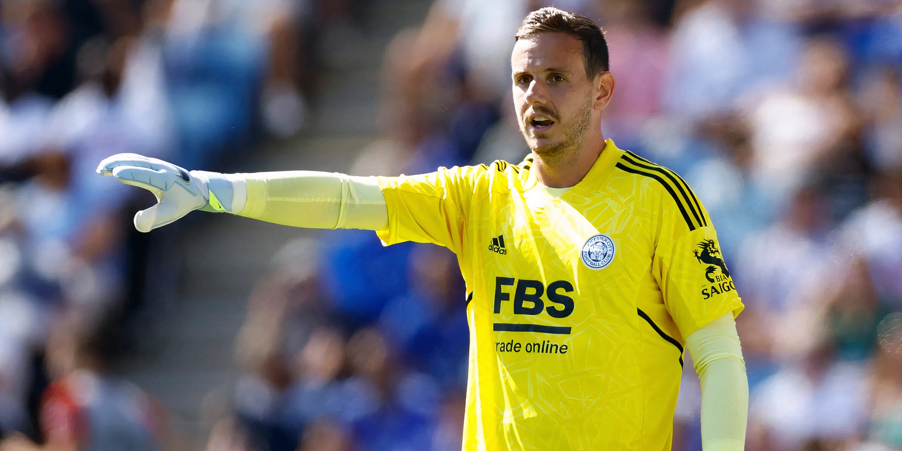 10 Greatest Wales Goalkeepers in Football History [Ranked]