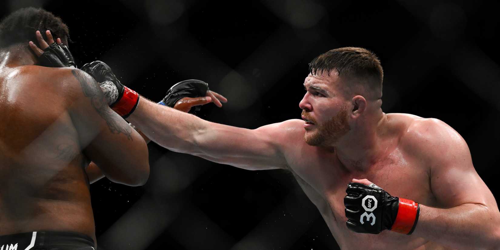 Best Undefeated Fighter in Every UFC Weight Class