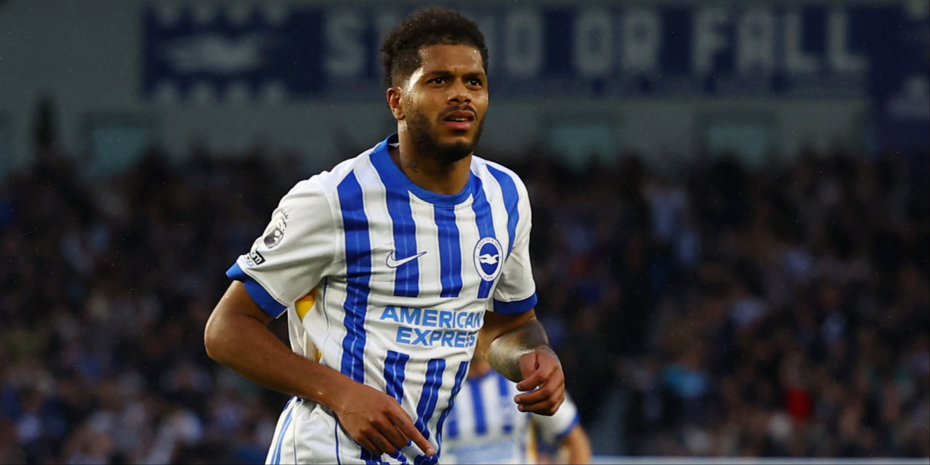 12 Best Premier League Signings of the 2024/25 Season [Ranked]