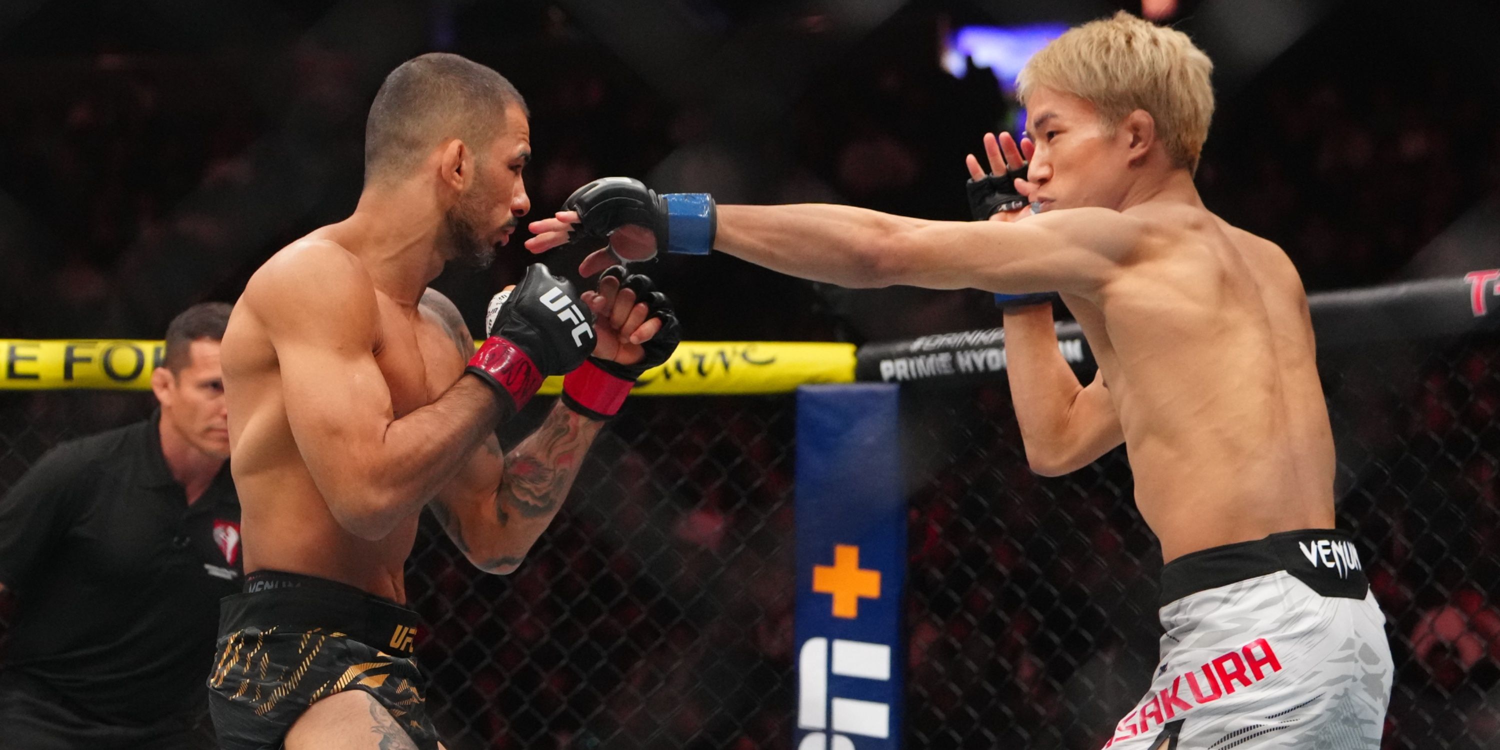 UFC Male Fighter of the Year 2024 [Power Ranking]