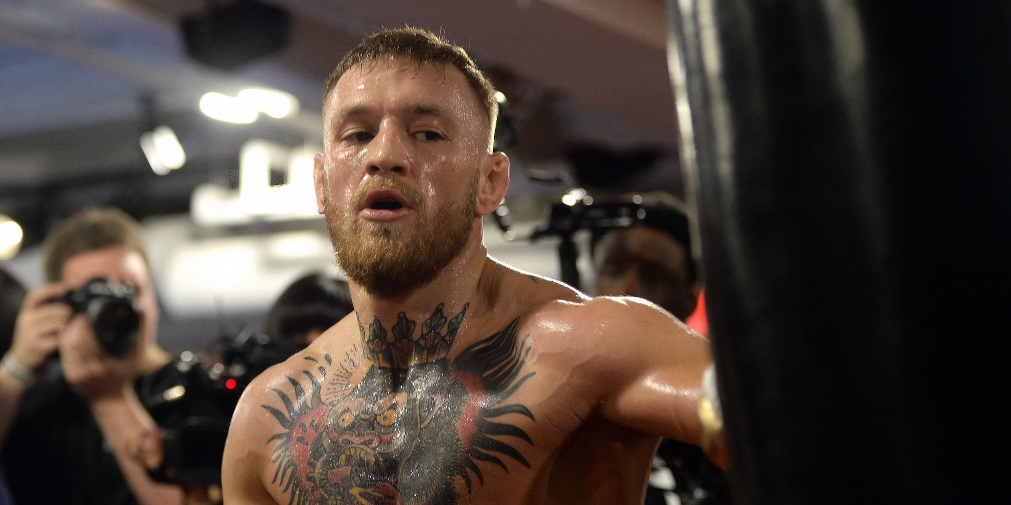 Laura Sanko: Who is the female UFC commentator?