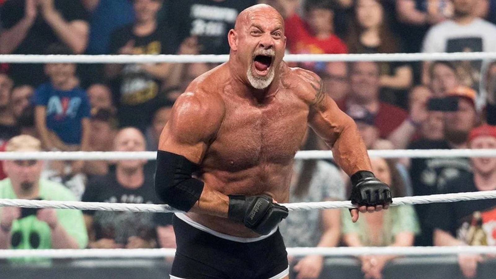 Goldberg Gives Update on WWE Retirement Match
