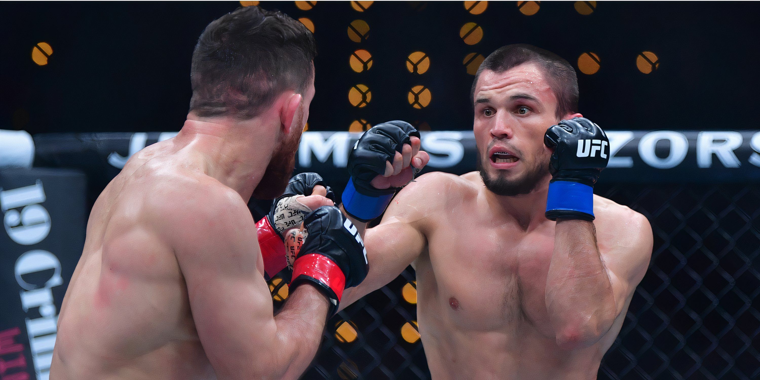 11 Greatest Russian MMA Fighters Ever [Ranked]