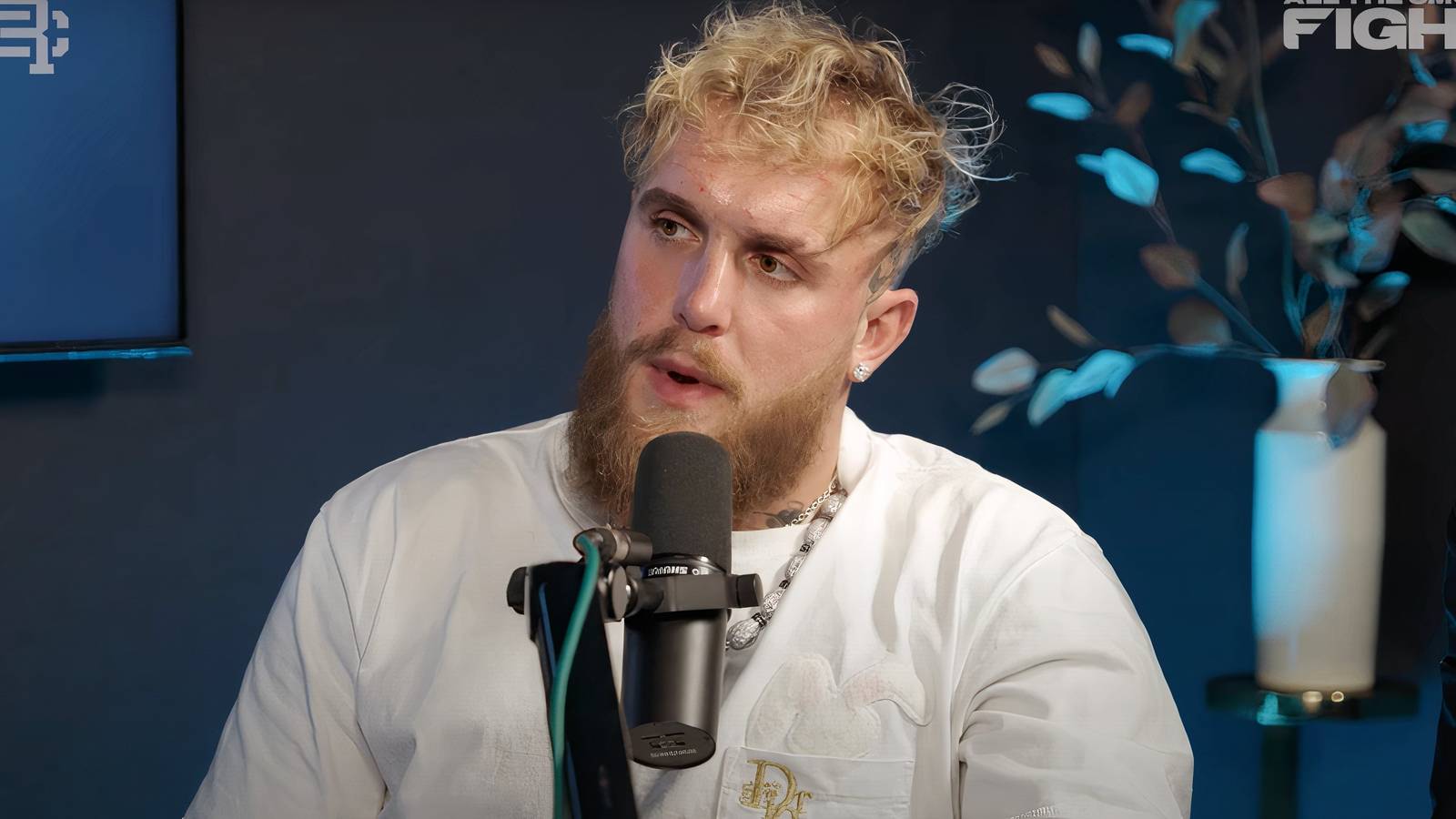 Jake Paul Names Hardest Puncher He's Faced So Far