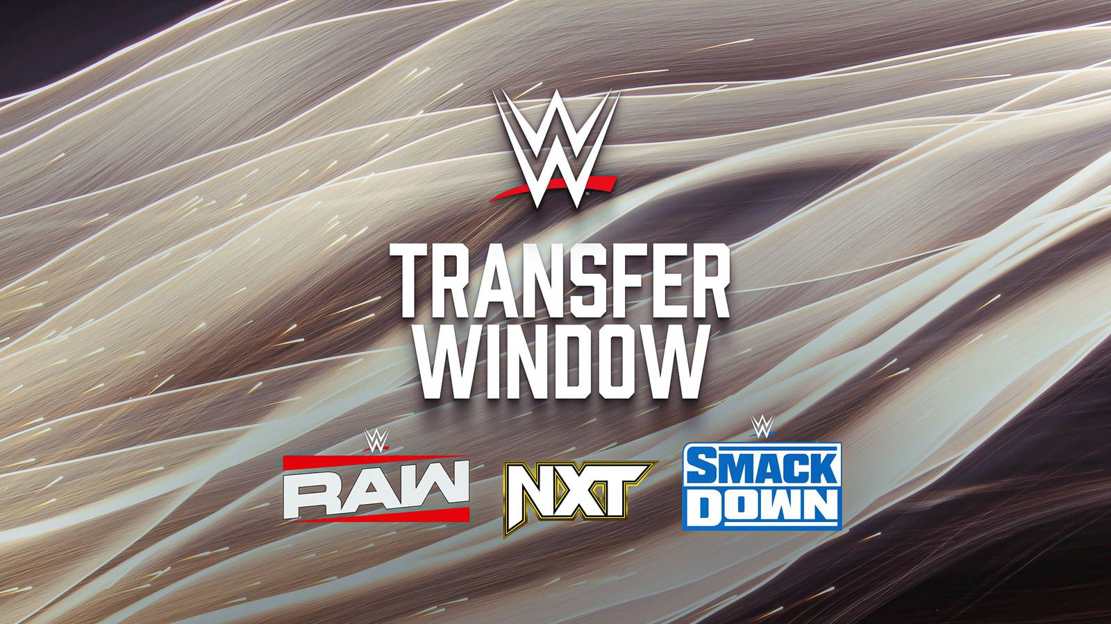 What is the WWE Transfer Window (Explained)