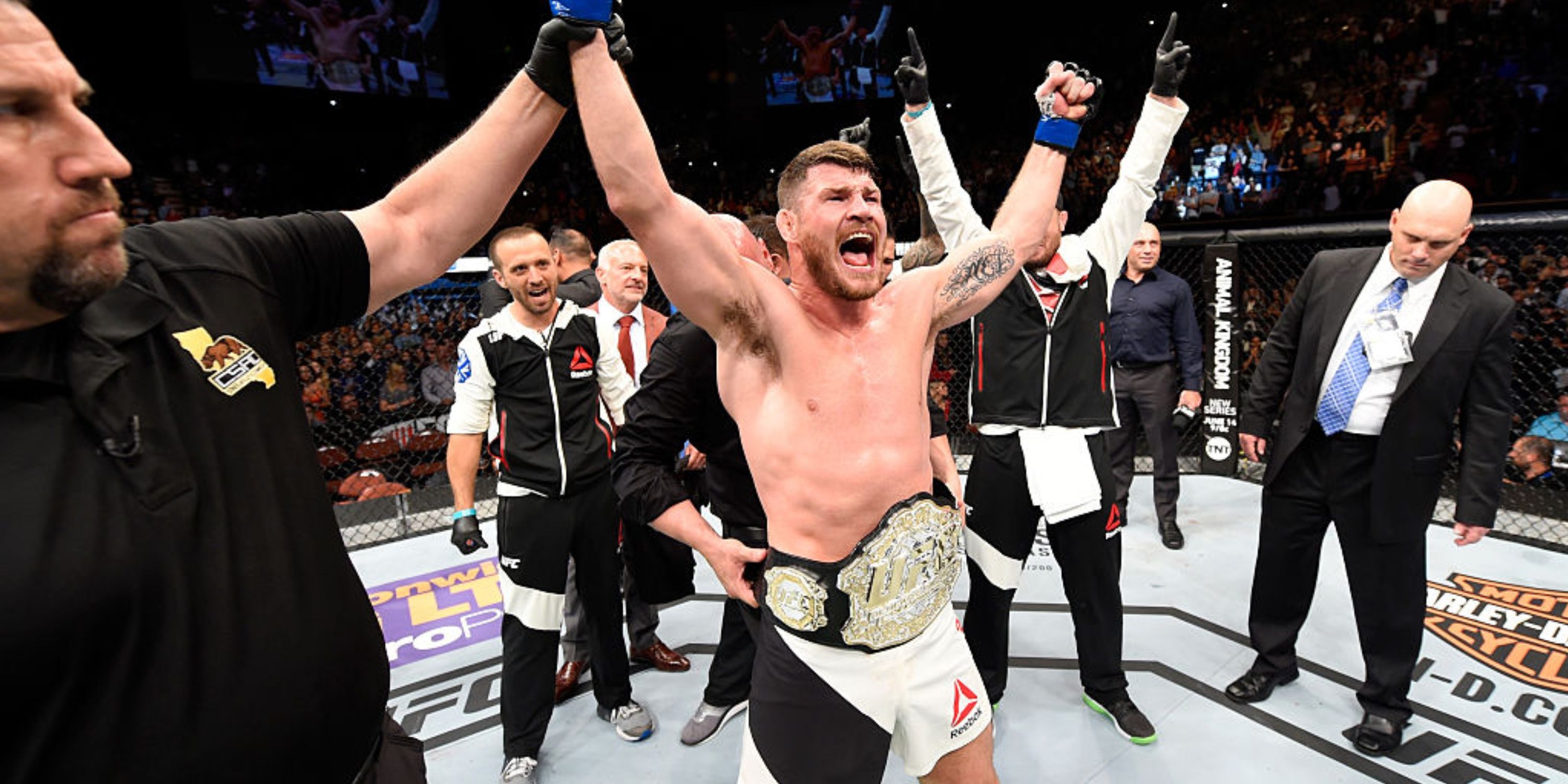 10 Best Middleweights in UFC History [Ranked]