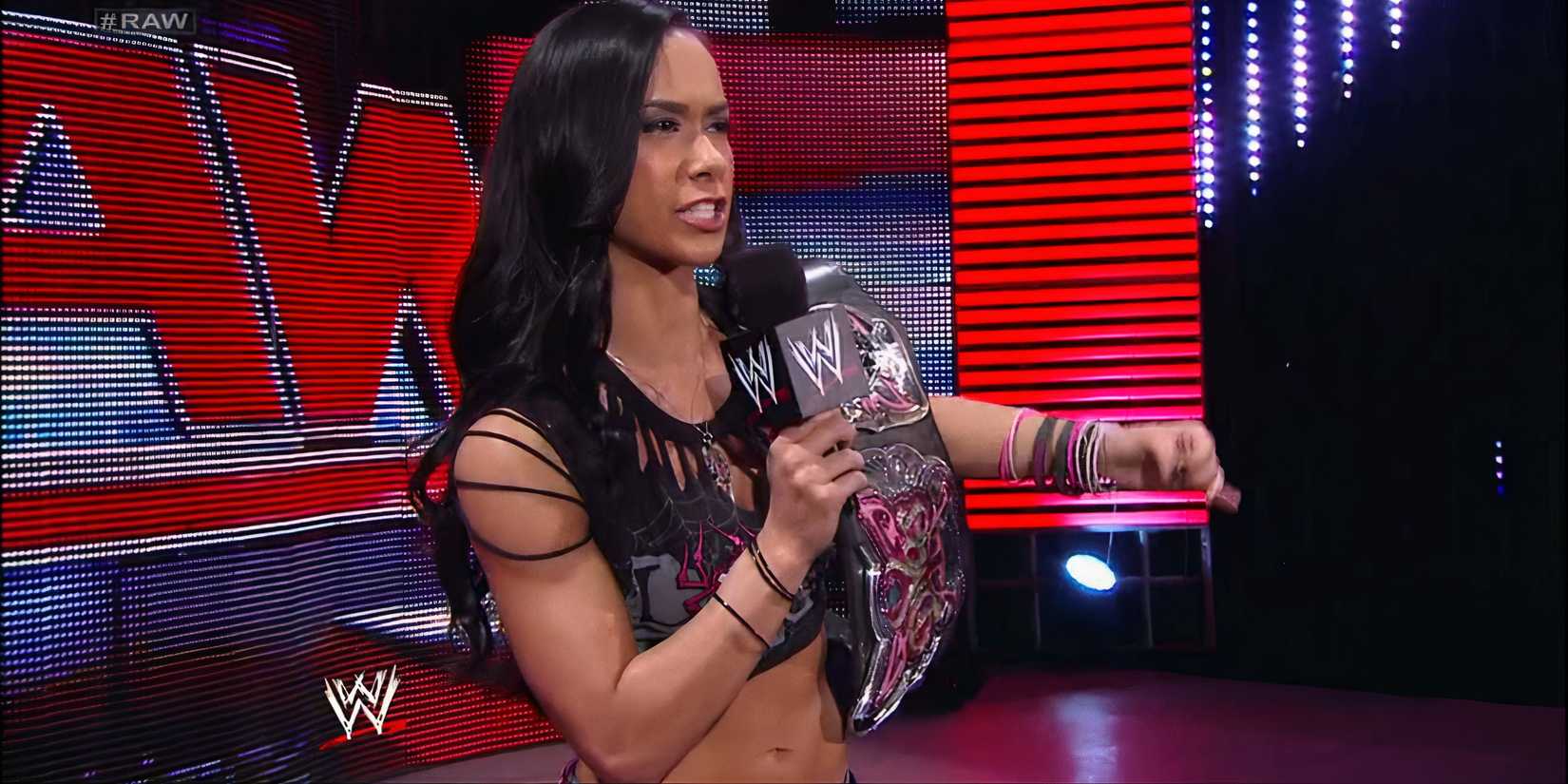 10 Best Promos in WWE History (Ranked)