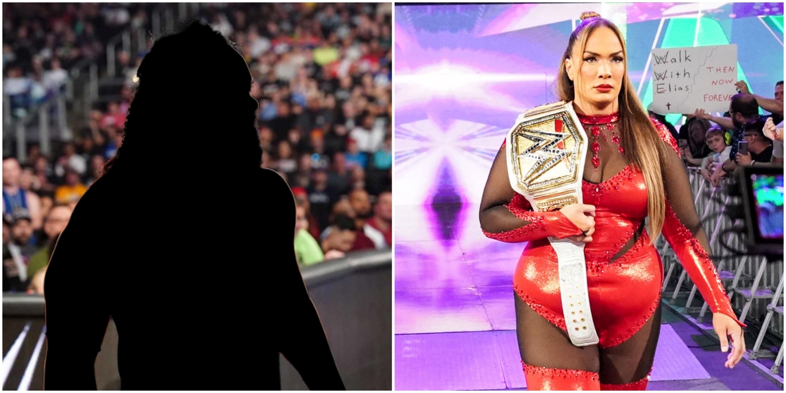 Nia Jax Names Current WWE Star Who's One of the Best She's 'Ever Seen'