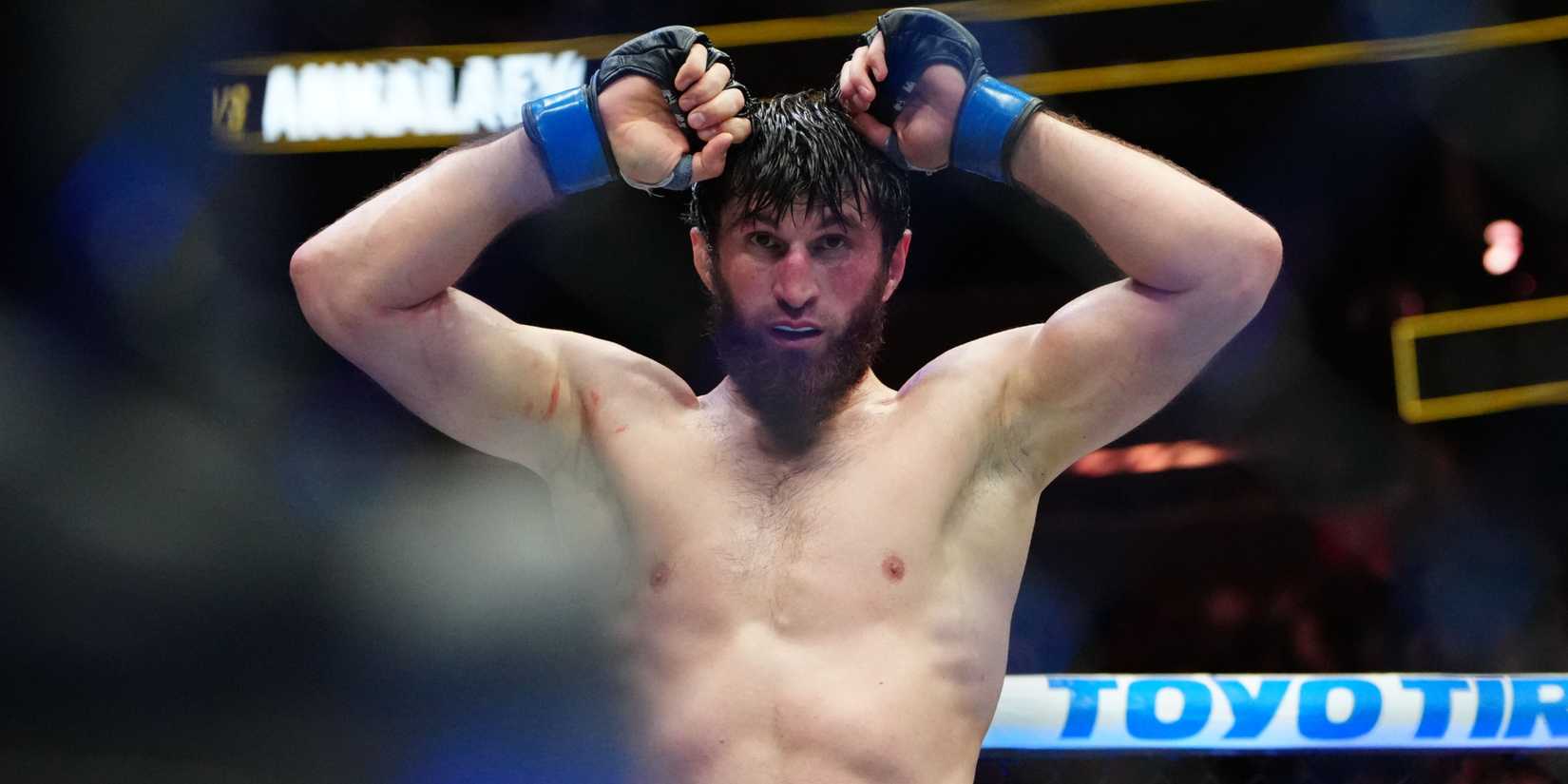 Only Fighter to Beat Magomed Ankalaev Lists Savage Injuries He ...