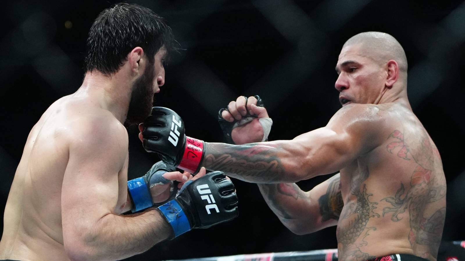 BREAKING: Alex Pereira's shocking weight gain for Magomed Ankalaev ...