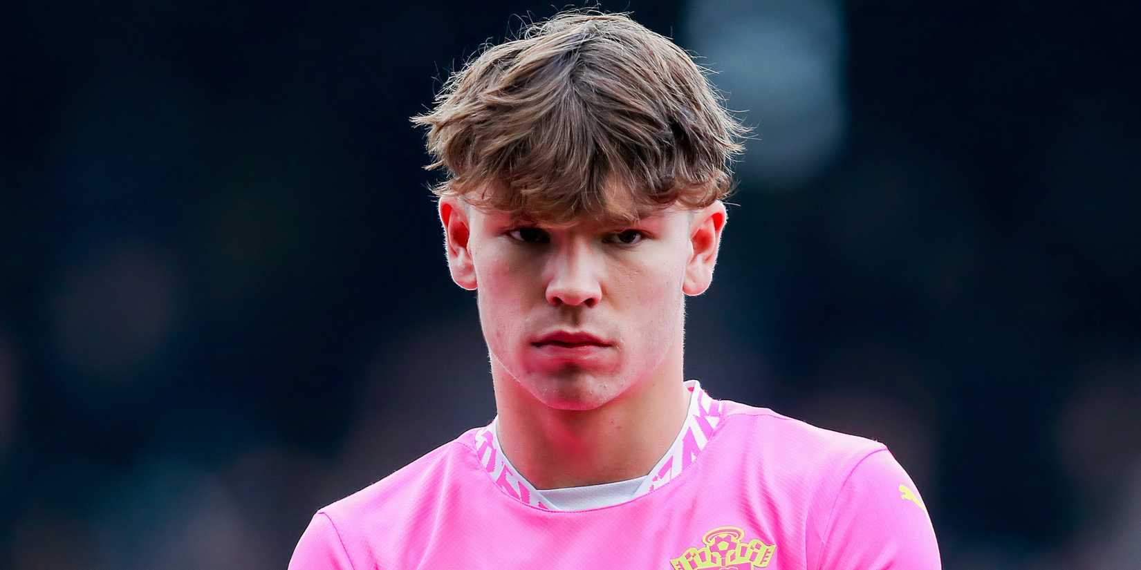 Exclusive: Moyes Seals 'Dream' Everton Signing After Dibling and ...