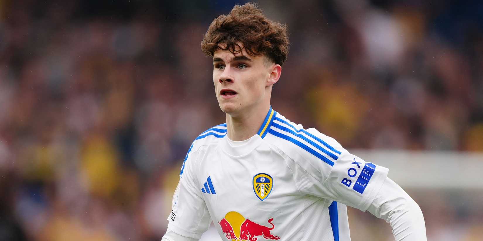 Exclusive: Tottenham 'Scouting' Harry Gray Ahead of Possible Swoop