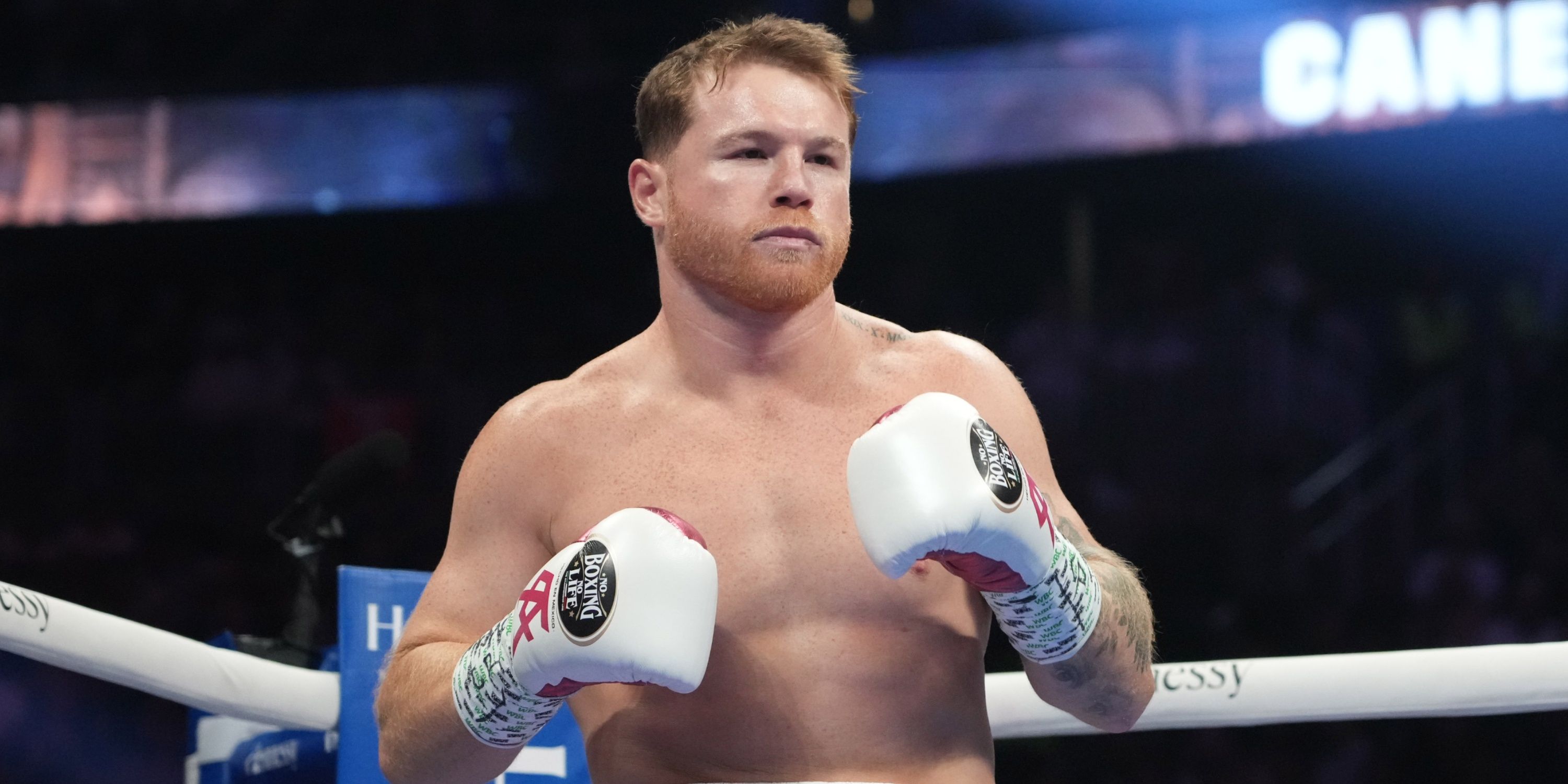 Saul 'Canelo' Alvarez Names Boxer He Hates the Most