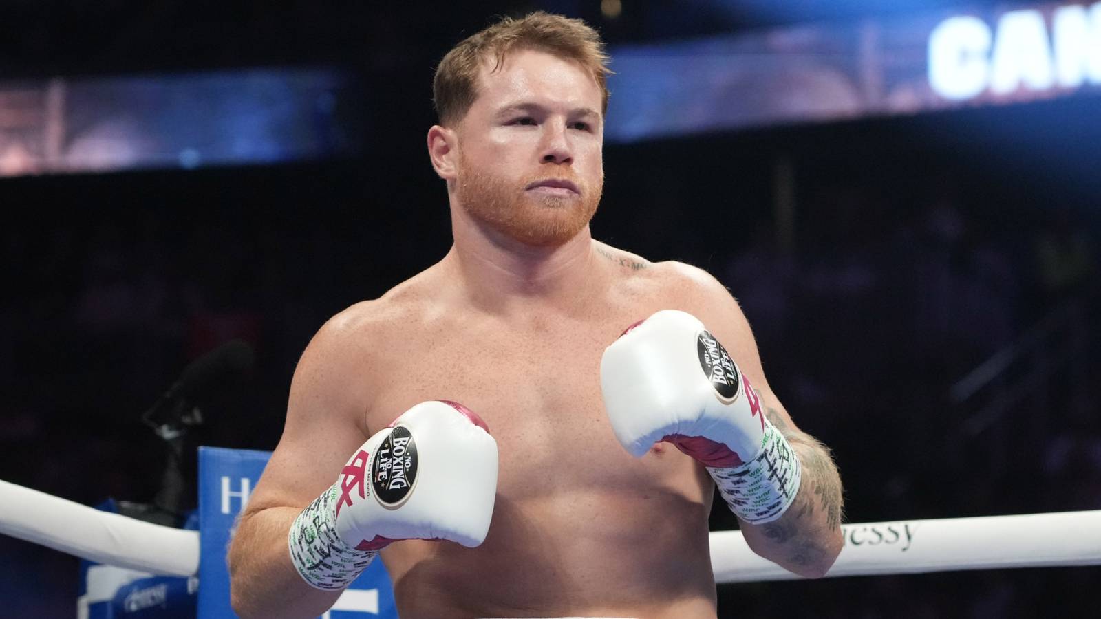 Saul 'Canelo' Alvarez Names Boxer He Hates the Most