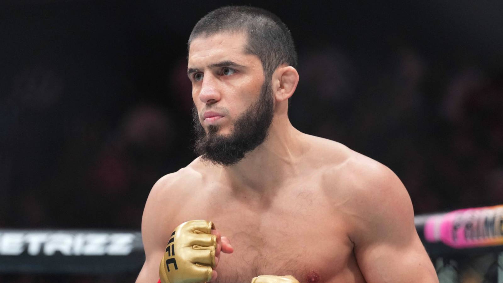 'I Fought Across Four Weight Classes in UFC - Here's Why Islam ...