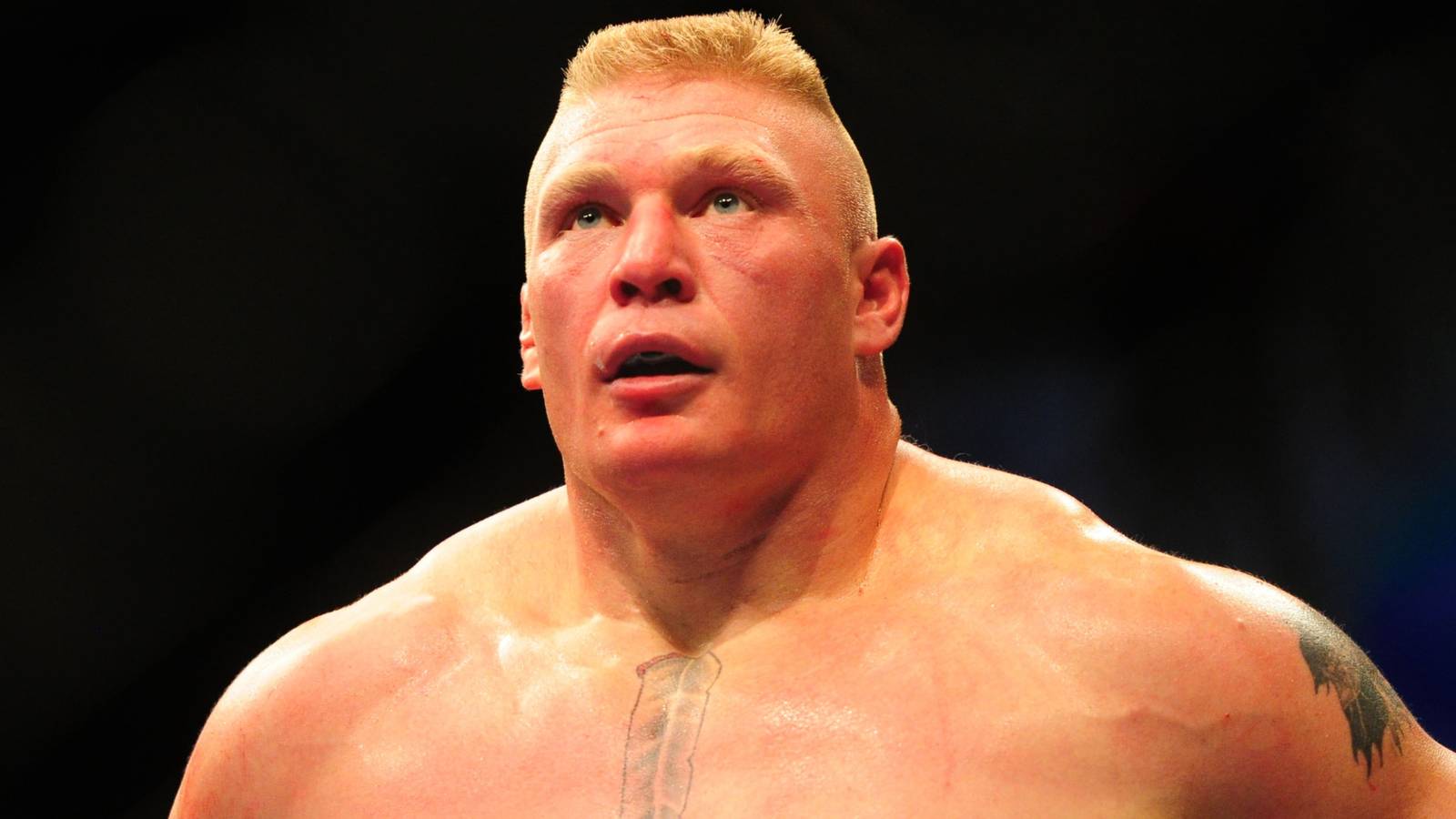 'Brock Lesnar Threw Me Around Like I Was a Little Kid - Now I'm Suing ...