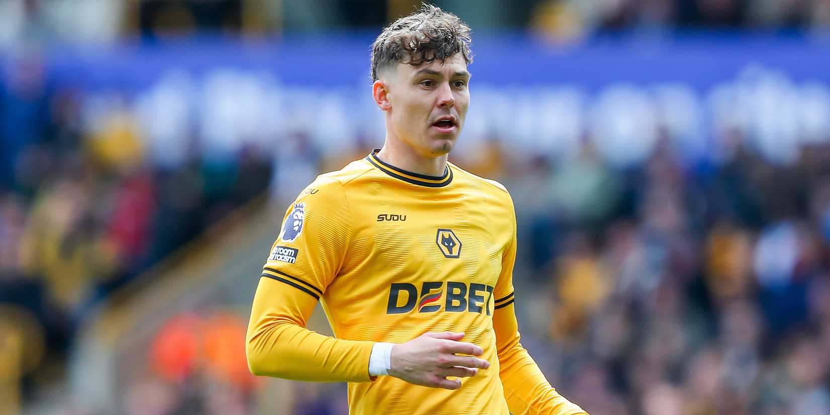 Exclusive: Strand Larsen Became Strong Wolves Signing After 'Baptism of ...