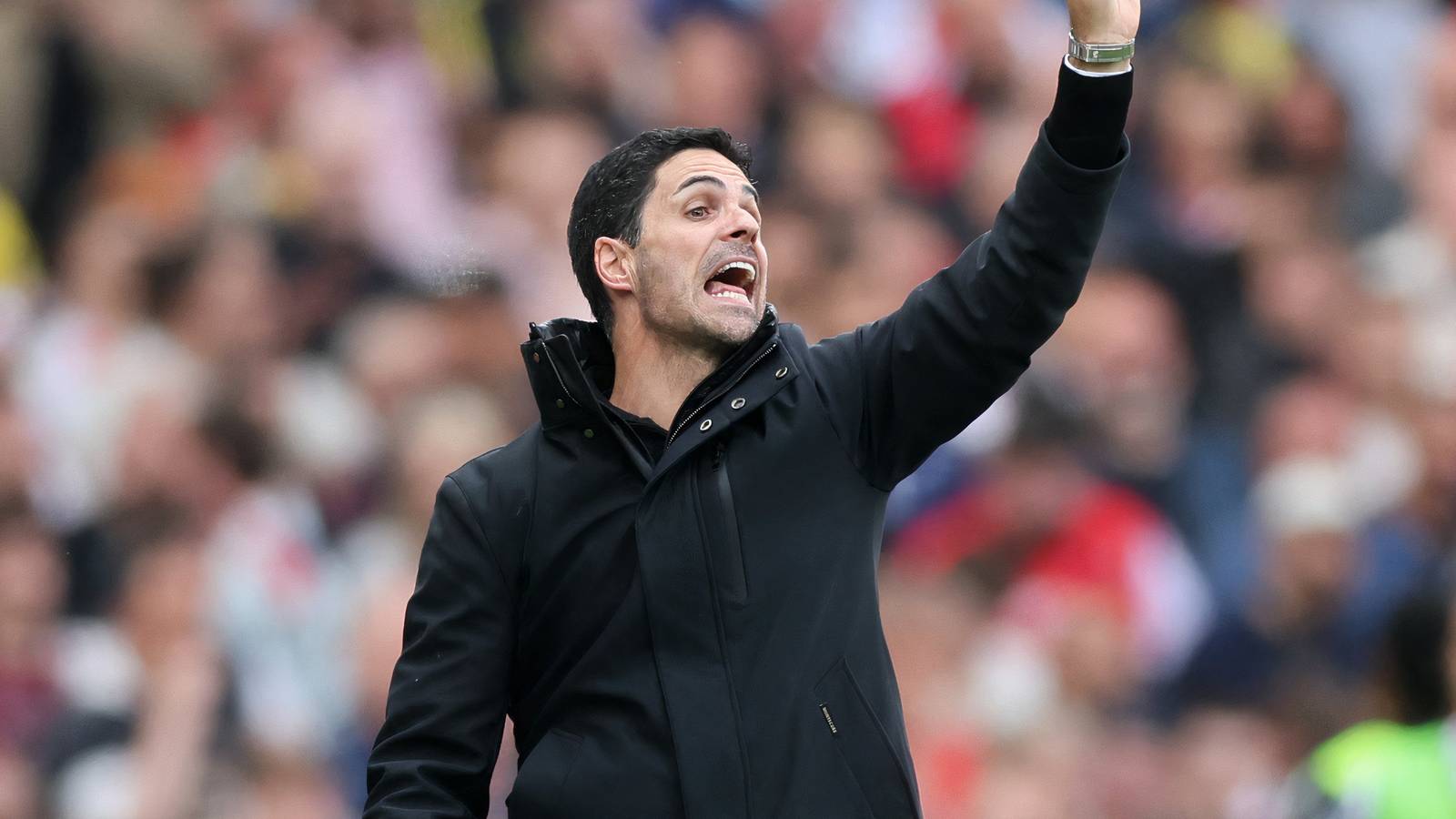 Fabrizio Romano: Arsenal Turn Back on 'Monster' Striker, Talks 'Not ...