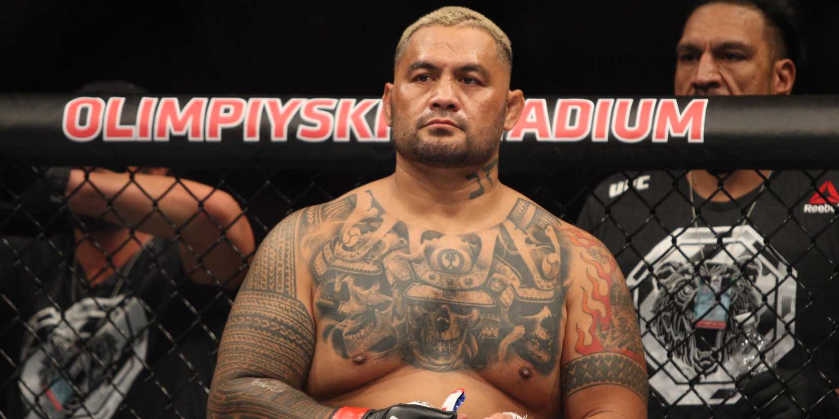 20 of The Hardest Punchers in UFC History, Named & Ranked by AI