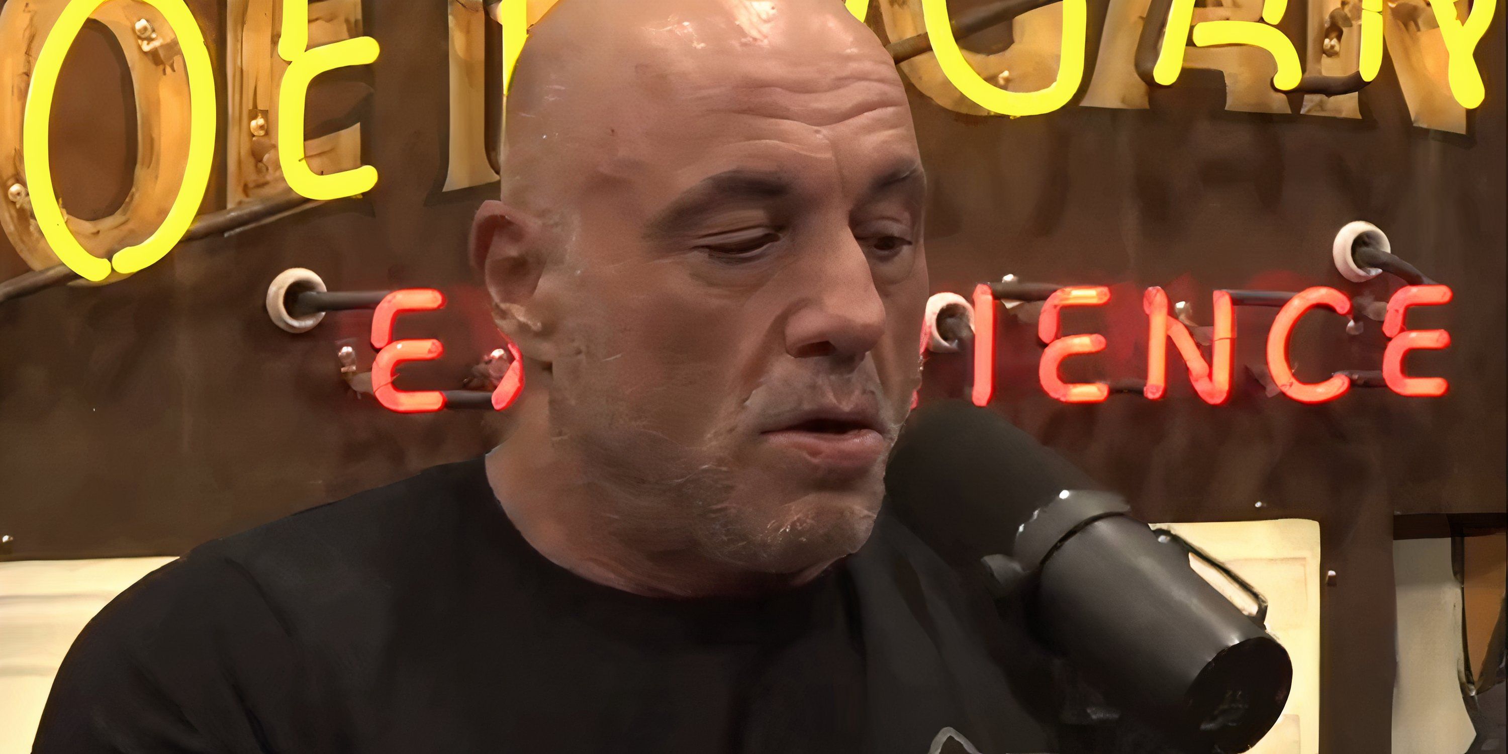 30 Best Defensive Midfielders on Football Manager 2024 (Ranked)