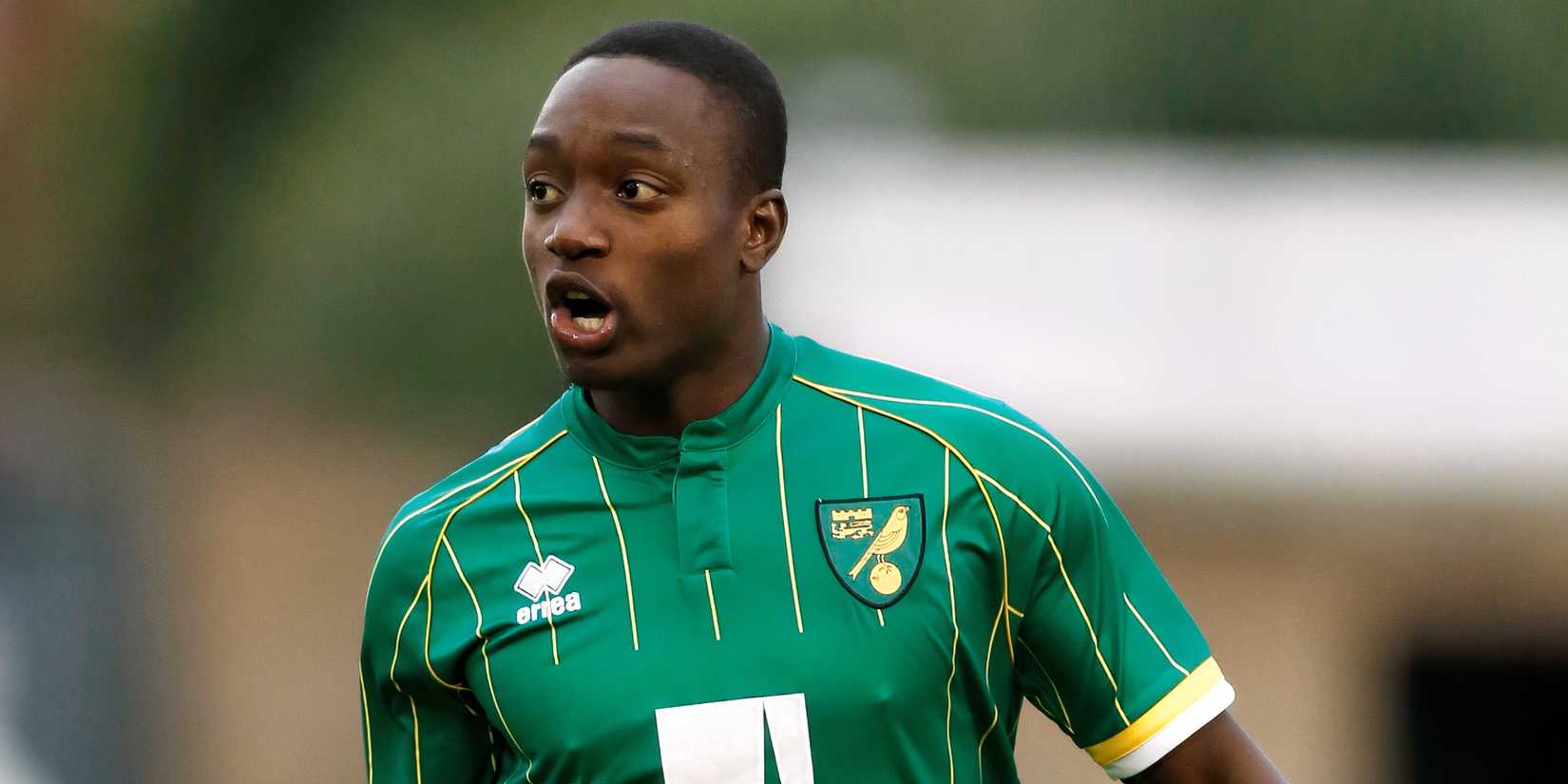 Former Norwich City Player Jailed For 28 Months
