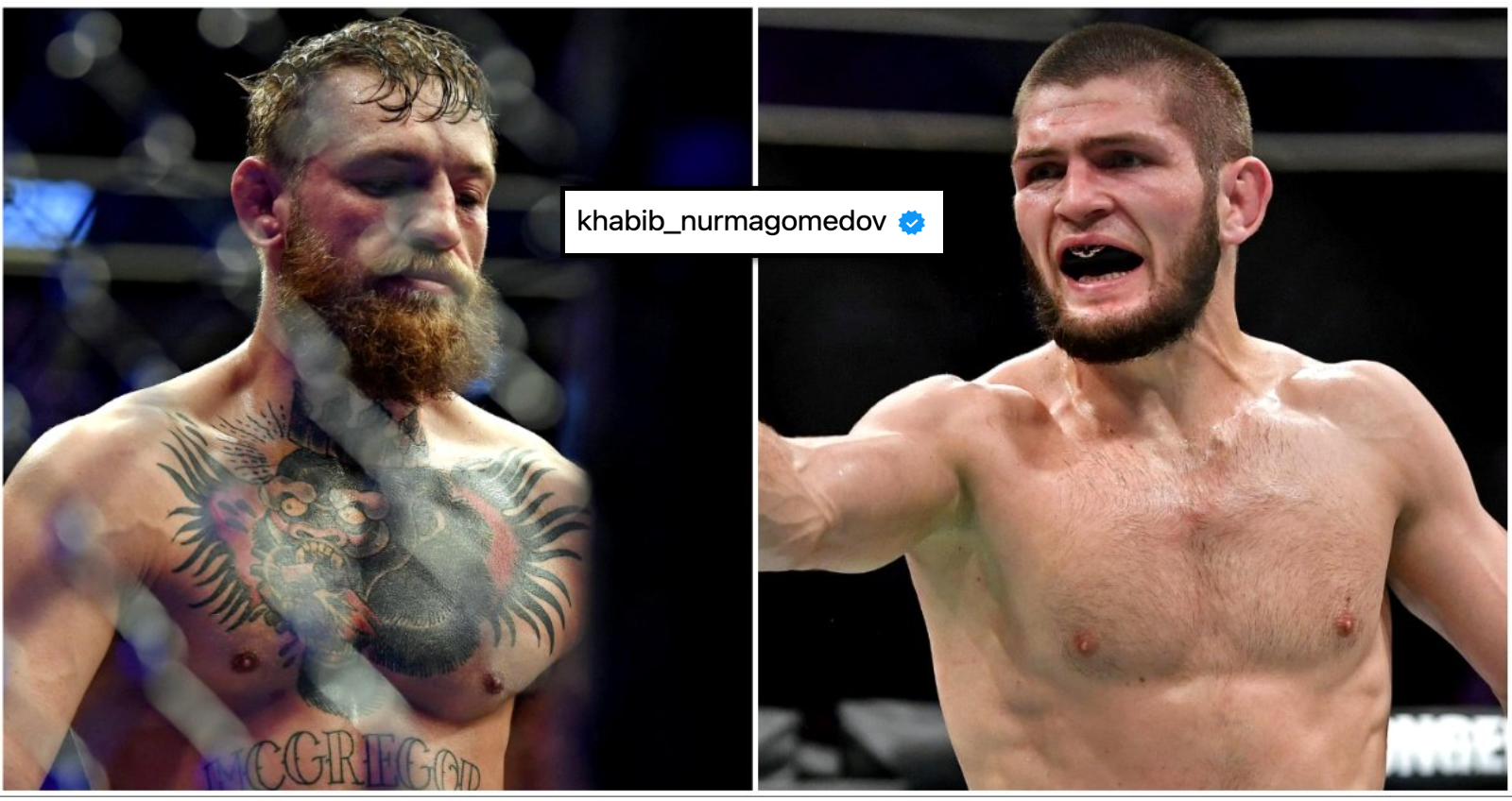Khabib's Savage Reaction to Conor McGregor's 18-Month UFC Suspension