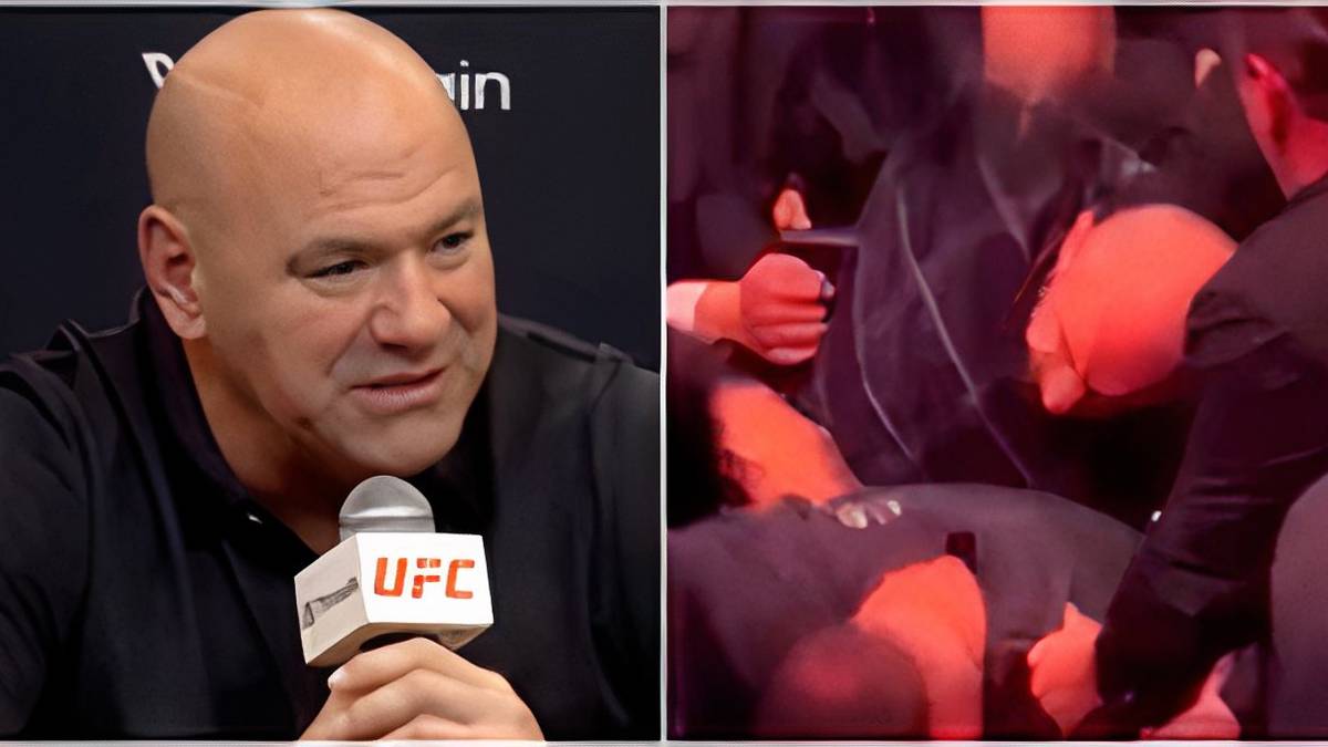Dana White Bans Dillon Danis From UFC For Life After UFC 322 Crowd Brawl