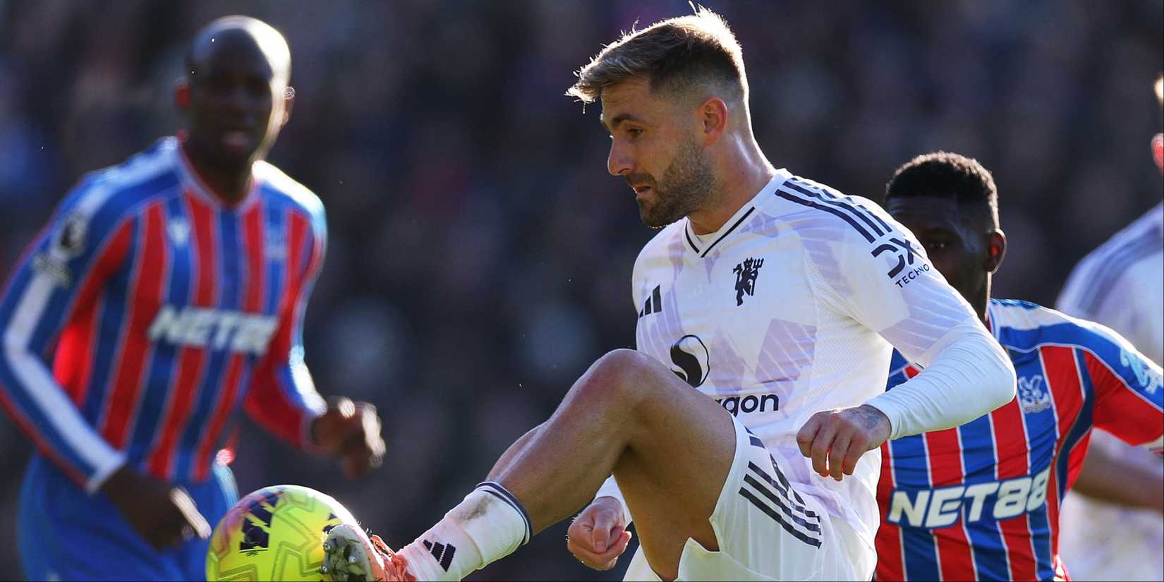 Outstanding Luke Shaw Was Real 'Reason Why' Man Utd Beat Crystal Palace