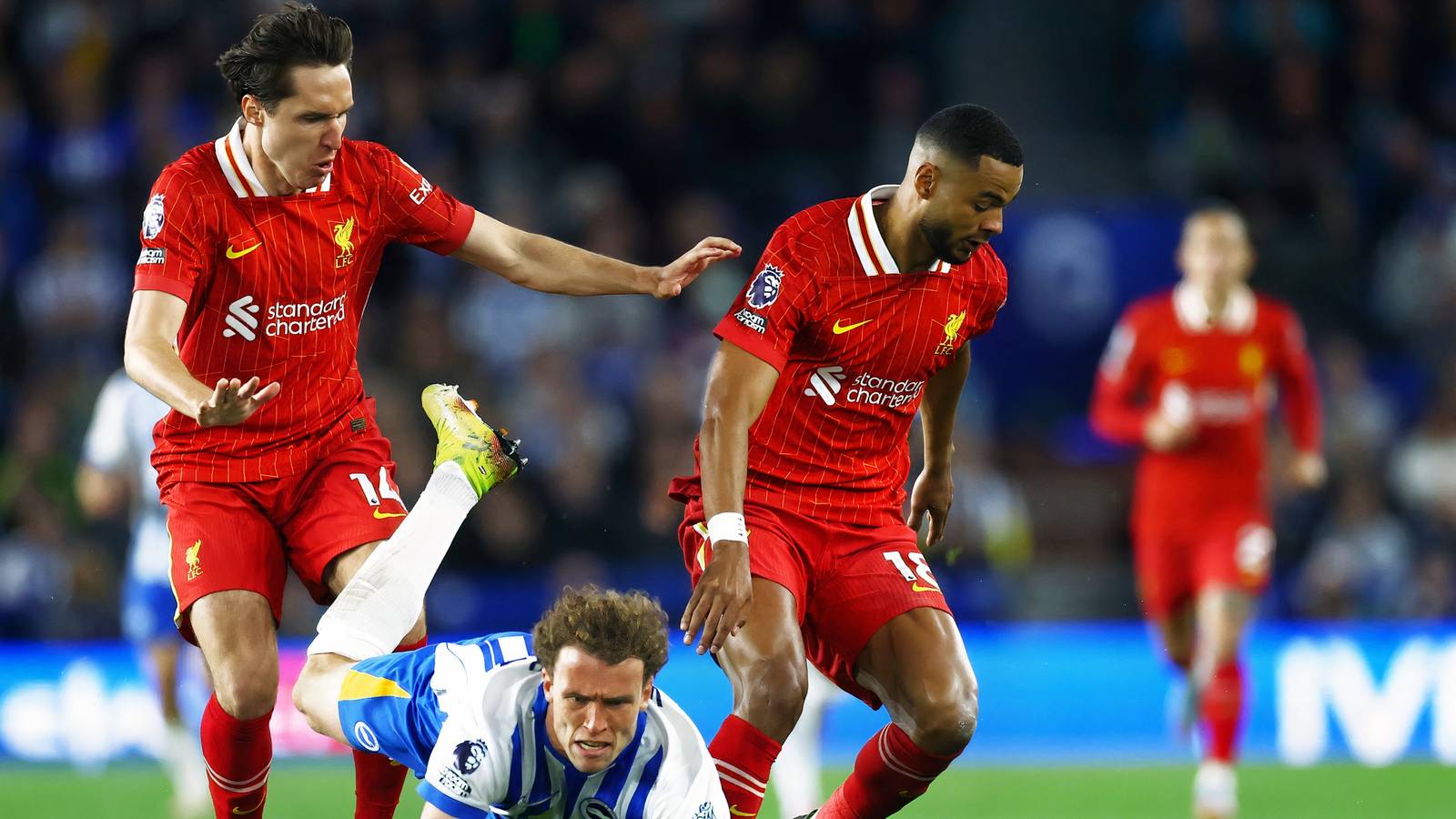 Liverpool vs Brighton Betting Tips and Predictions