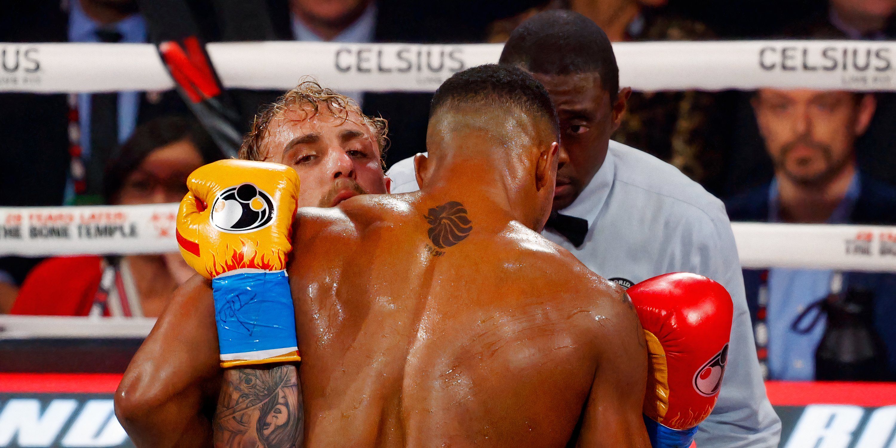 What 'southpaw' and 'orthodox' mean in boxing