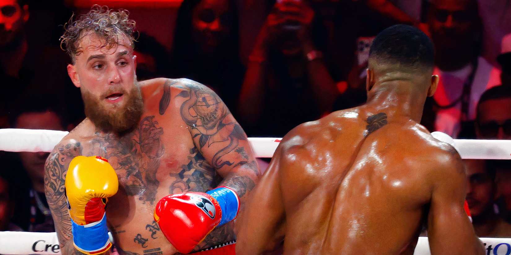 Jake Paul vs Anthony Joshua: Referee Made Savage Comment Midway Through ...