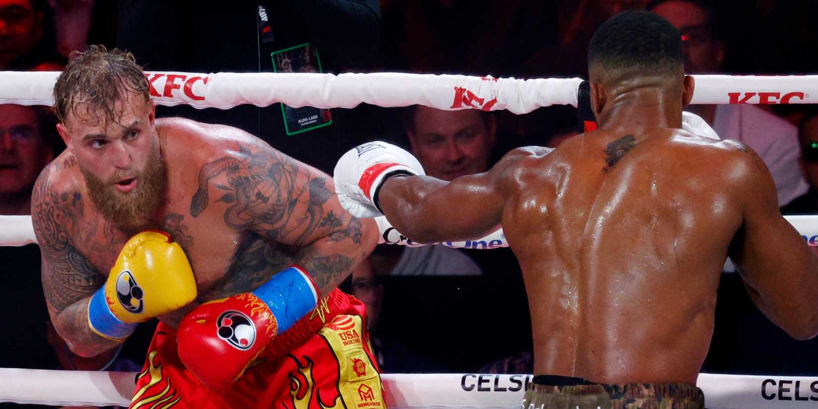 Jake Paul vs Anthony Joshua Punch Statistics