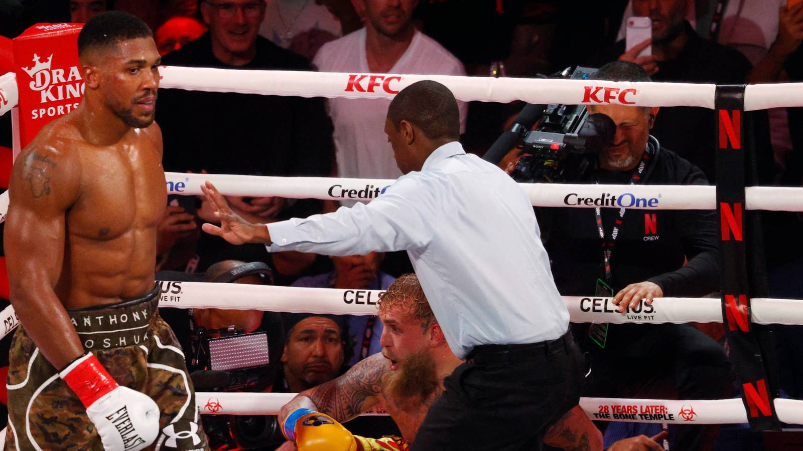 Jake Paul Stat After Knockout Loss to Anthony Joshua Goes Viral