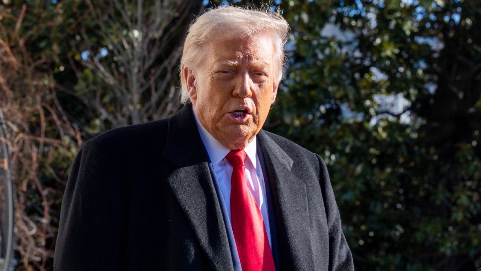 IOC Statement on Banning USA From Olympics After Donald Trump Threats