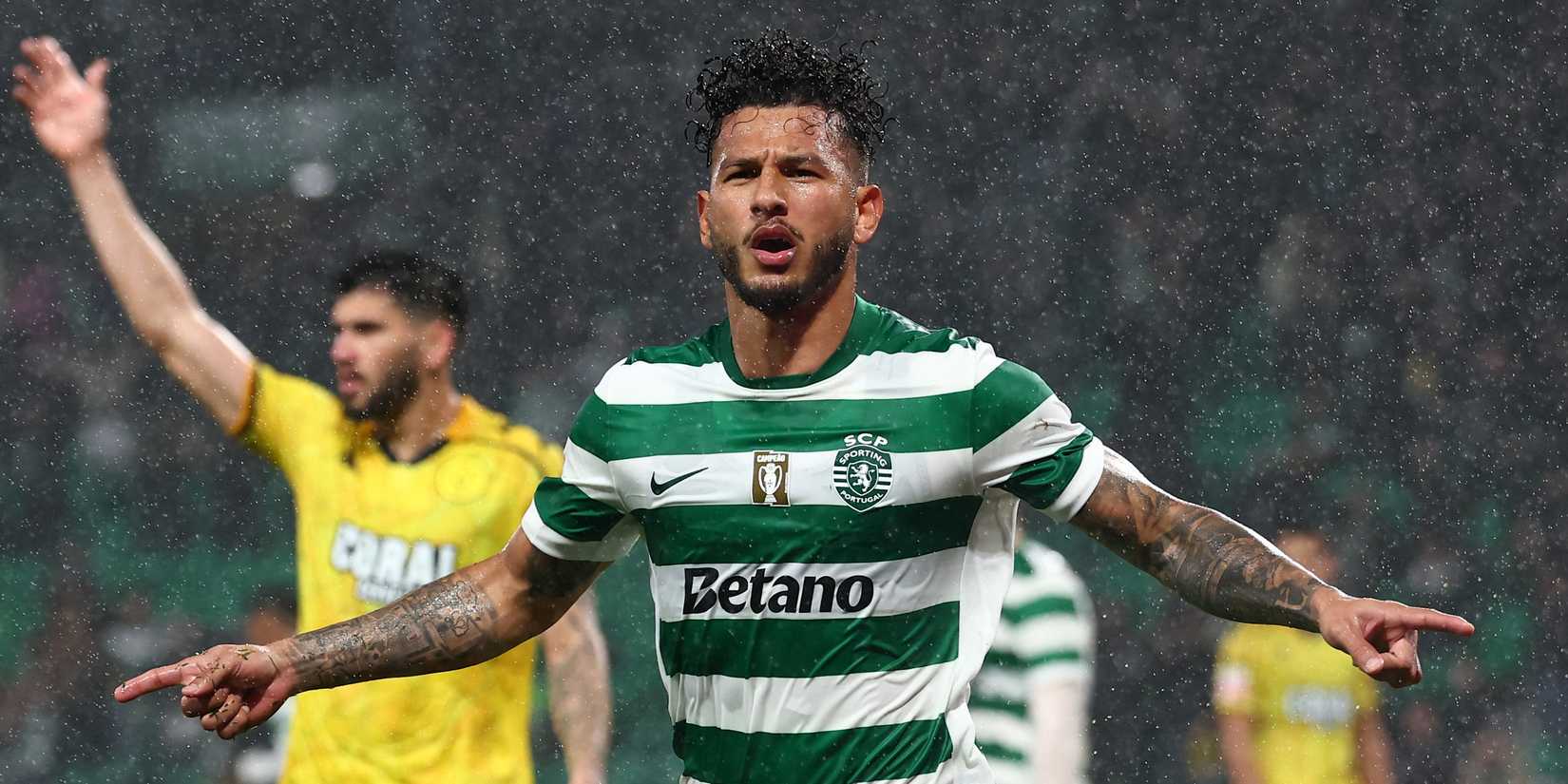 Newcastle Want Sporting CP Star Luis Suarez to Replace Nick Woltemade