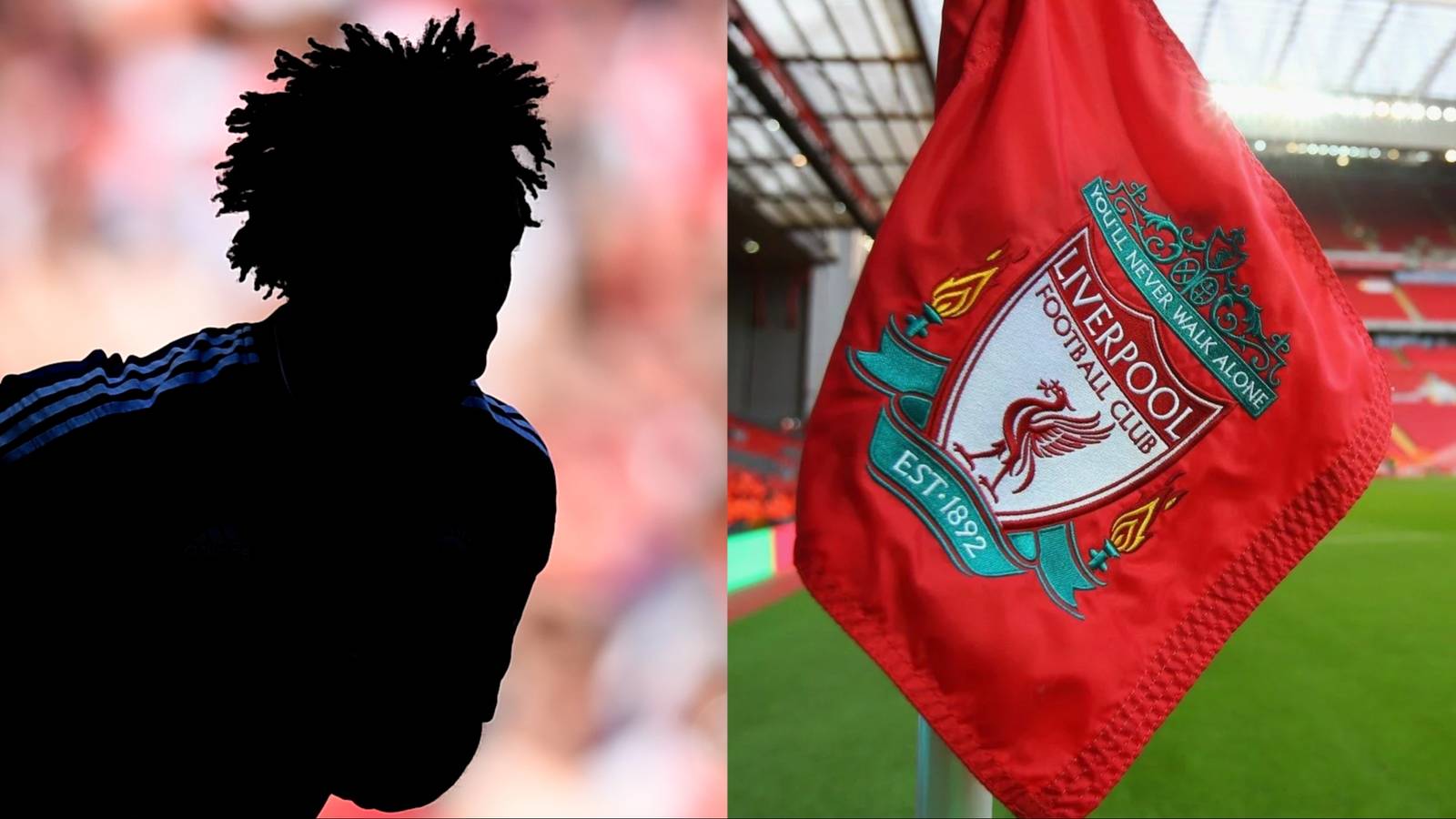 Loic Remy Accused Liverpool of Being ‘Dishonest’ Over Failed Transfer